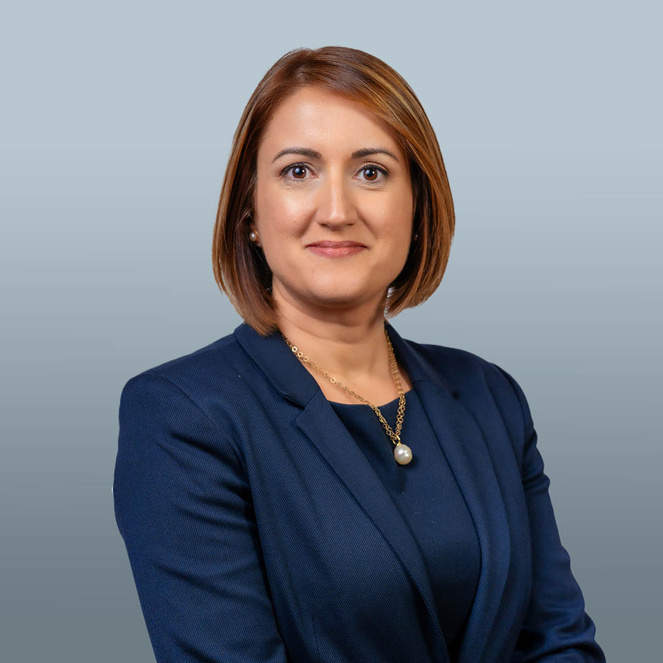 CJEU Ruling: Key Findings in EC v Malta (Case C-181/23) on Citizenship by Investment | Chetcuti ...